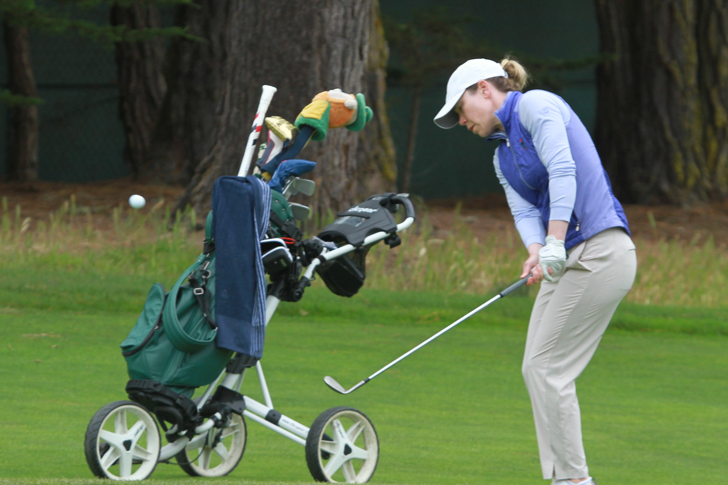 Join the NCGA | Support and Promote the Game of Golf