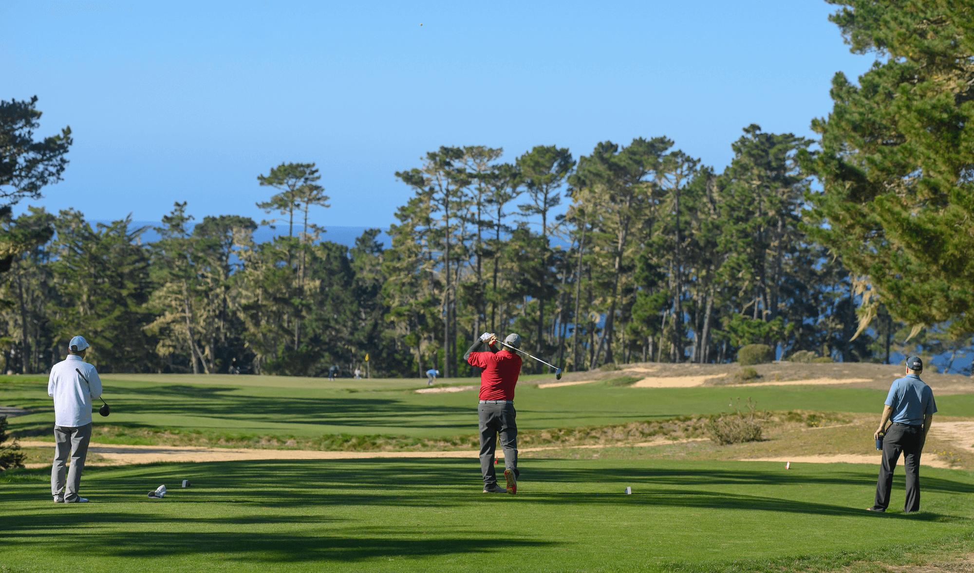 Member Benefits | NCGA