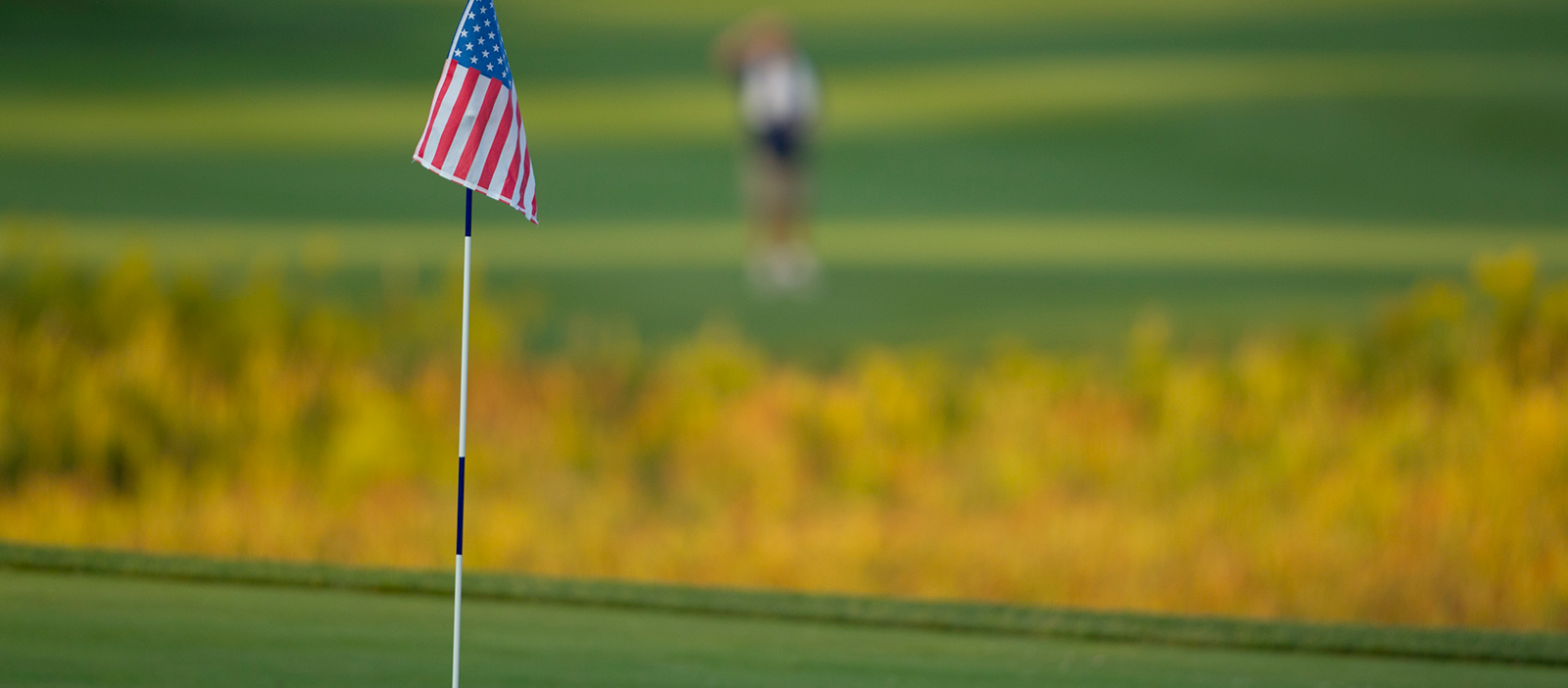 Board of Directors | NCGA