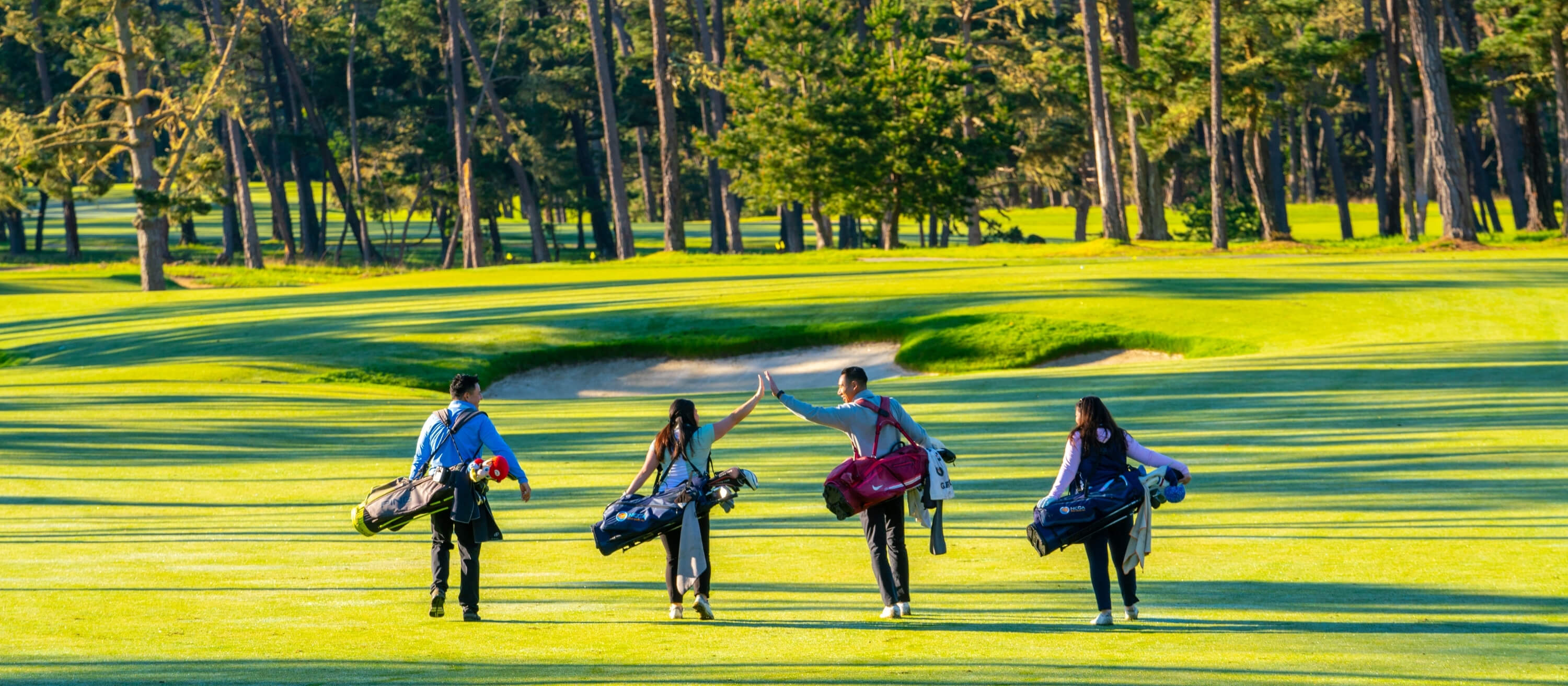 About the NCGA | NCGA