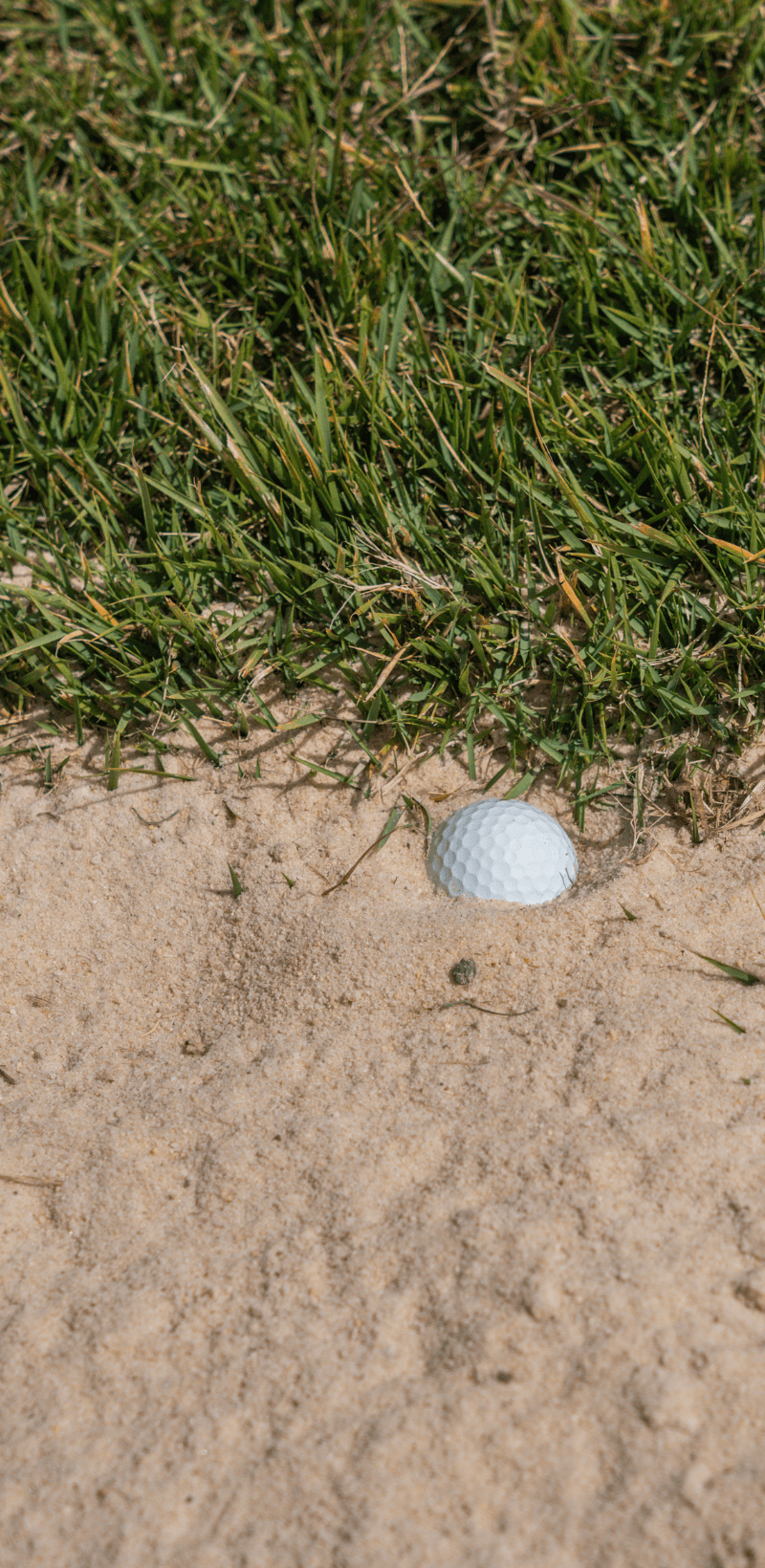 Rules Education and Resources | NCGA