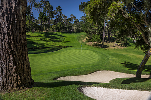 Join the NCGA | Support and Promote the Game of Golf